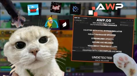 Awp Executor Revolutionizing The Future Of Roblox Exploiting