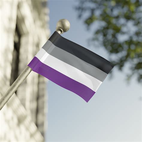 Asexual Pride Flag Ace Banner For Lgbtqia Representation And Visibility