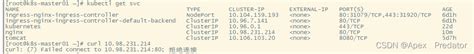 K8s 探针kubernetes 探针和deployment Csdn博客