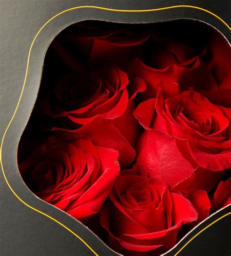 여신 아프로디테와 거품 속에서 함께 태어난 꽃