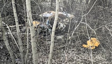 Поліція Київщини просить свідків убивства росіянами трьох цивільних у