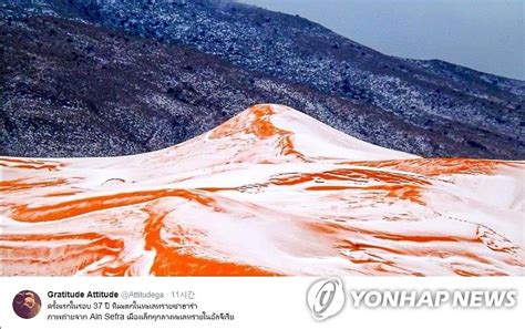 37년만에 처음 눈이 내린 사하라 사막 연합뉴스