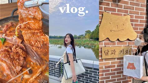 Vlog 전주 여행 브이로그 한옥마을보다 좋았던 덕진공원 첫 혼술🥃 자매갈비전골•달과기와 맛집 추천 Youtube