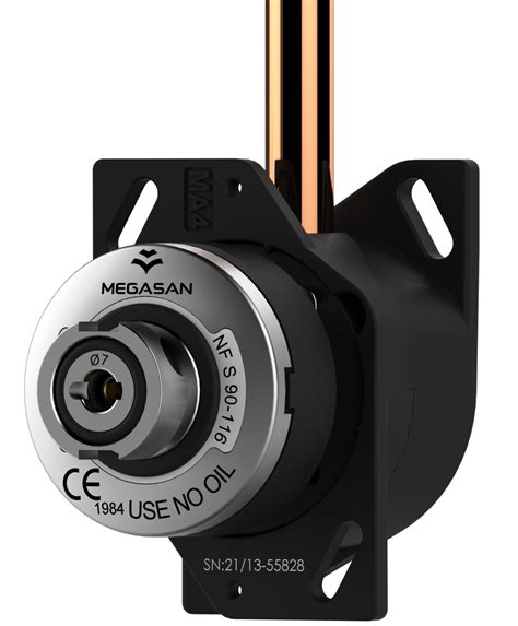 Megasan