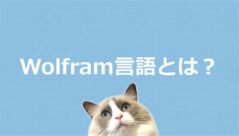 Wolfram言語とは？プログラミング言語を初心者にもわかりやすく解説 プログラミング入門