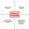 Difference Between Cost Audit And Management Audit With Objectives And Comparison Chart Key
