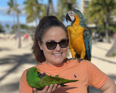 Cassie Brown Inked Originals