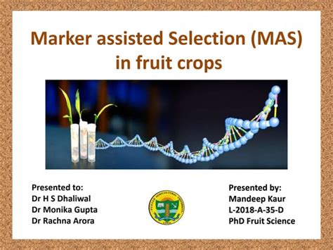 Marker Assisted Selection Mas In Fruit Crops Pptx