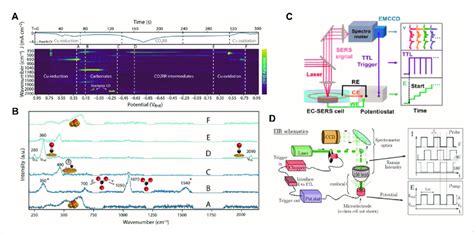 A Time Resolved Sers Data Of Electrodeposited Copper During The