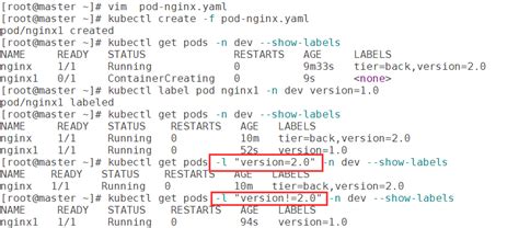 K8s实战入门——label Gys001 博客园