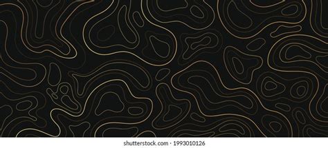 Topographic Multicolored Linear Background Abstraction Place Stock Vector Royalty Free