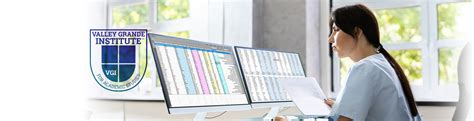 Medical Insurance Coder And Billing Technician Valley Grande Institute
