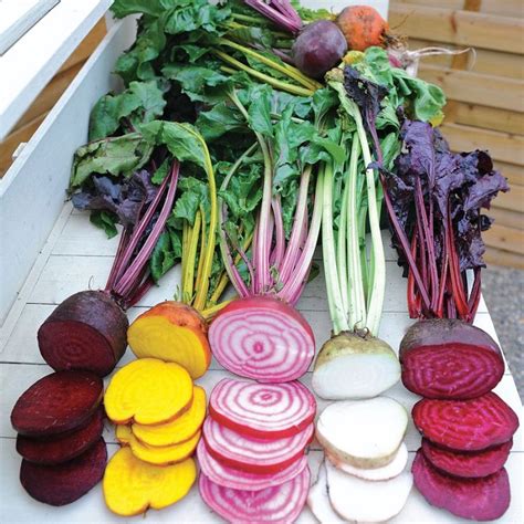Beet Red Food Colour At Jamie Spinelli Blog