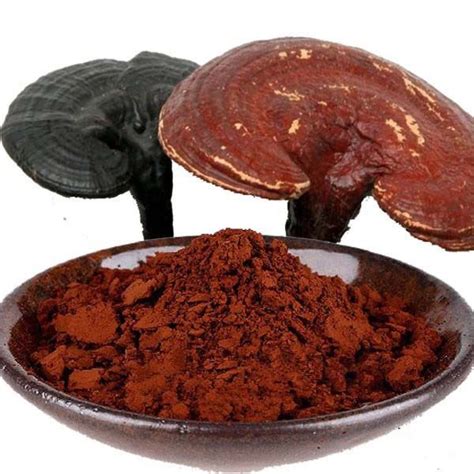 China Broken Ganoderma Spore Powder Manufacturers Suppliers Factory