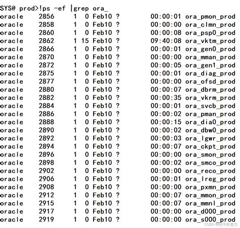 Oracle 19c体系架构 Overivew Of Primary Components 图表解析（二）pmon Background