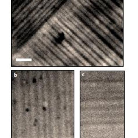 Polarized Light Microscopy Reveals The Tetragonal Domain Structure Of
