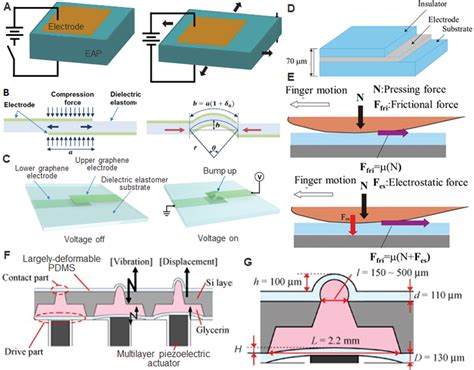 A Schematic Illustration Of Actuation Principle Of Electronic Eaps Download Scientific