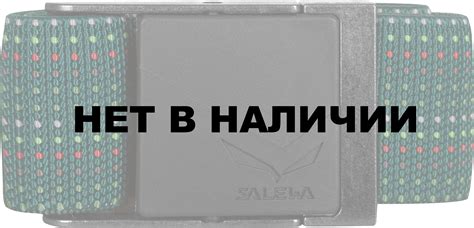 Ремень Salewa 2017-18 RAINBOW BELT cypress/stripe, производитель Salewa ...