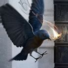 Procreate Hatch Brushes Behance