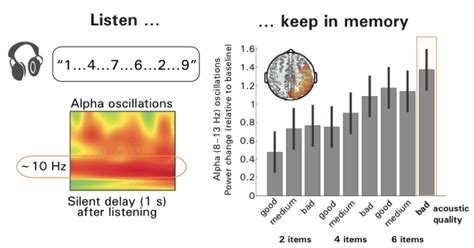 Auditory Working Memory Auditory Cognition