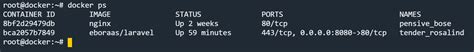 How To Change The Docker Ps Output Format DevDojo