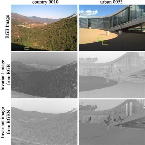 some examples of illumination invariant images the sub regions