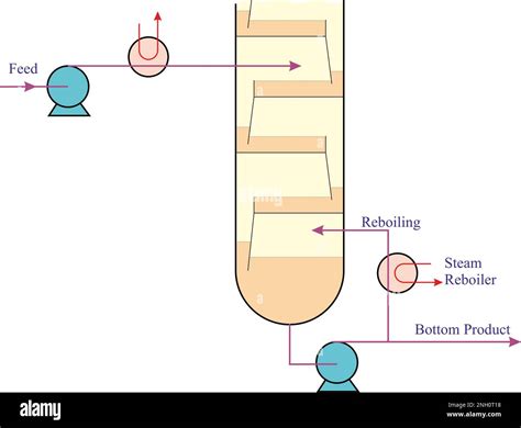 Stripping Section Of A Distillation Column Stock Vector Image Art Alamy