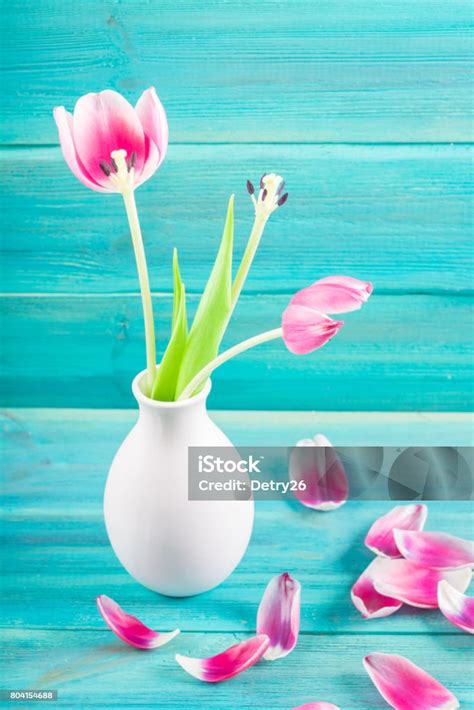 시 든 흰색 꽃병에 핑크 튤립 푸른 나무 바탕에 꽃잎을 떨어 건조한에 대한 스톡 사진 및 기타 이미지 건조한 꽃 나무 꽃