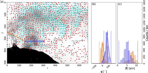 a Example output of the Farnebäck optical flow algorithm for the Download Scientific Diagram