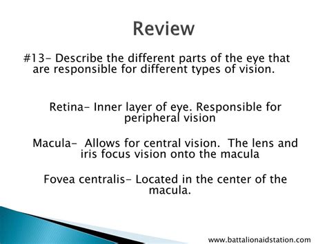 Ppt Basic Ocular Anatomy Powerpoint Presentation Free Download Id