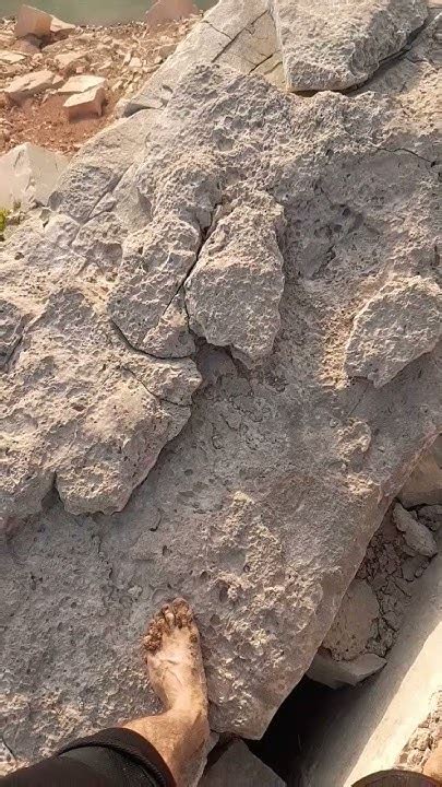 آرامش طبیعت سکوت و پیاده روی با پای برهنه ، دریافت انرژی از زمین مادر