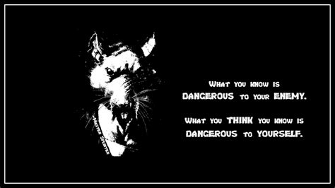 Tmnt 2012 Splinter Quotes