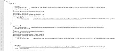 Creation Of Odata Modeler In Standard Bo And Custom Sap Community