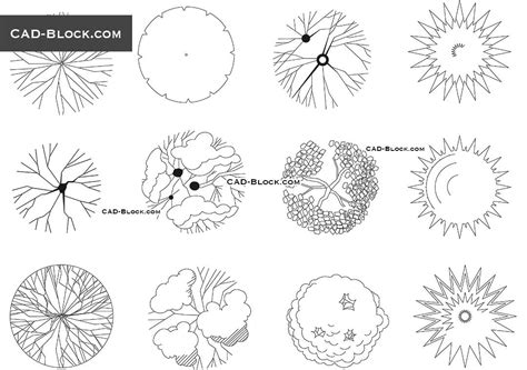 Trees Dynamic Blocks Download Free 2d Cad File