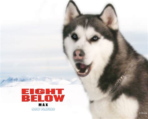 Eight Below Movie Poster