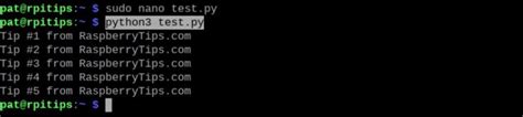 Bash Vs Python Sur Raspberry Pi Quand Les Utiliser Raspberrytips