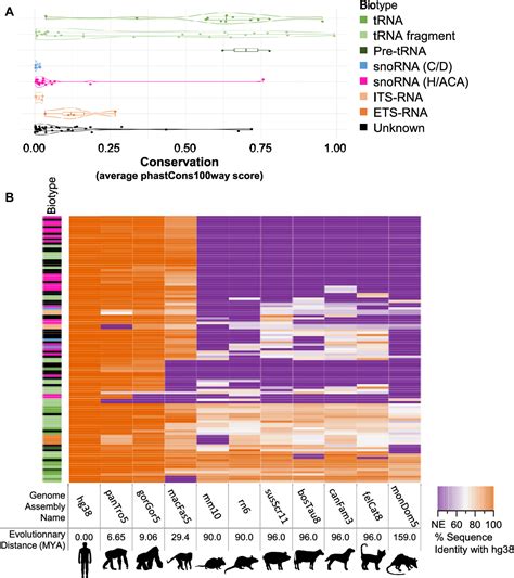 Figure 3 From Reducing The Structure Bias Of Rna Seq Reveals A Large Number Of Non Annotated Non