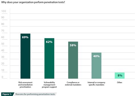 Guide 2023 Penetration Testing Report