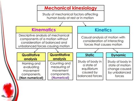 Introduction To Biomechanics PPTX
