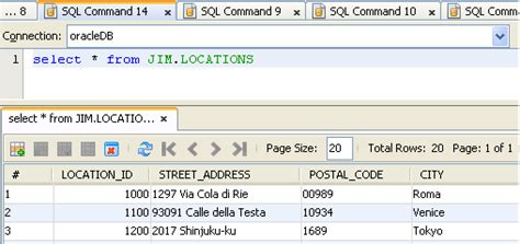 Connecting To Oracle Database From Netbeans Ide
