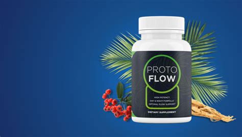 Protoflow Reviews A Real Users Journey Expert Insights Benefits