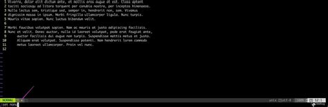 Vimneovim Arbitrary Code Execution Via Modelines Cve 20021377 Cve