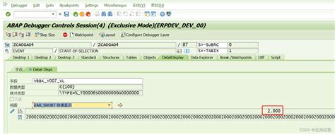 sap quan类型强制转换成char类型 sap字段类型quan csdn博客