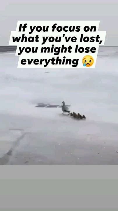 Muhammad Muqtadir Hussain Posted On Linkedin