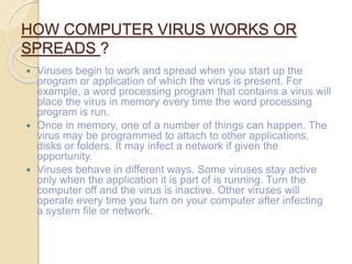 Computer Virus PPT
