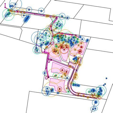 Arboricultural Impact Assessment NSW Tree Survey