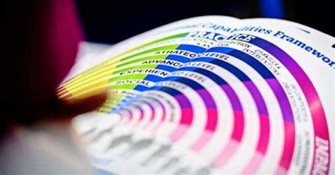 Professional Capabilities Framework Independent Evaluation Basw