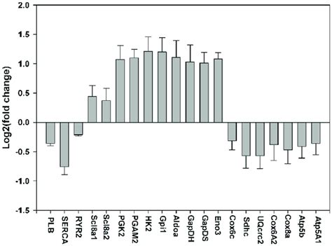 Semi Quantitative Real Time Pcr Analysis Of Transcript Abundance In