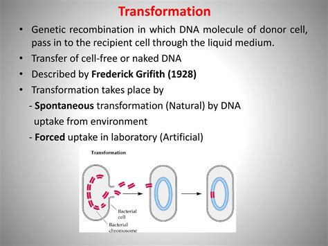 Modes Of Microbial Genetic Recombinationspptx