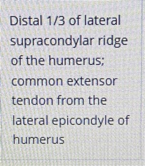 Solved Distal 13 ﻿of Lateral Supracondylar Ridge Of The